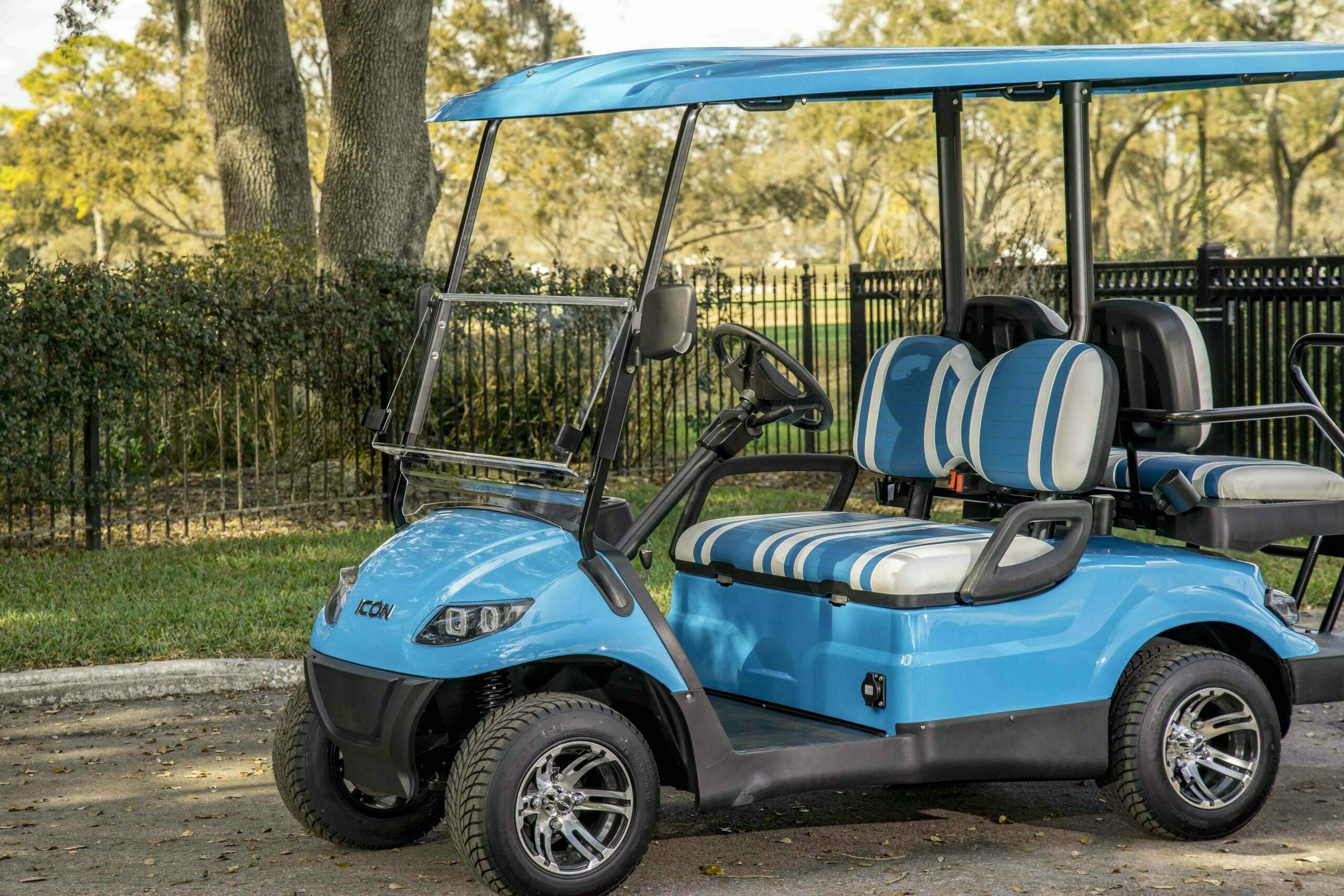 Golf Cart Photo Gallery - Gas-Powered & Electric Golf Carts Now Available