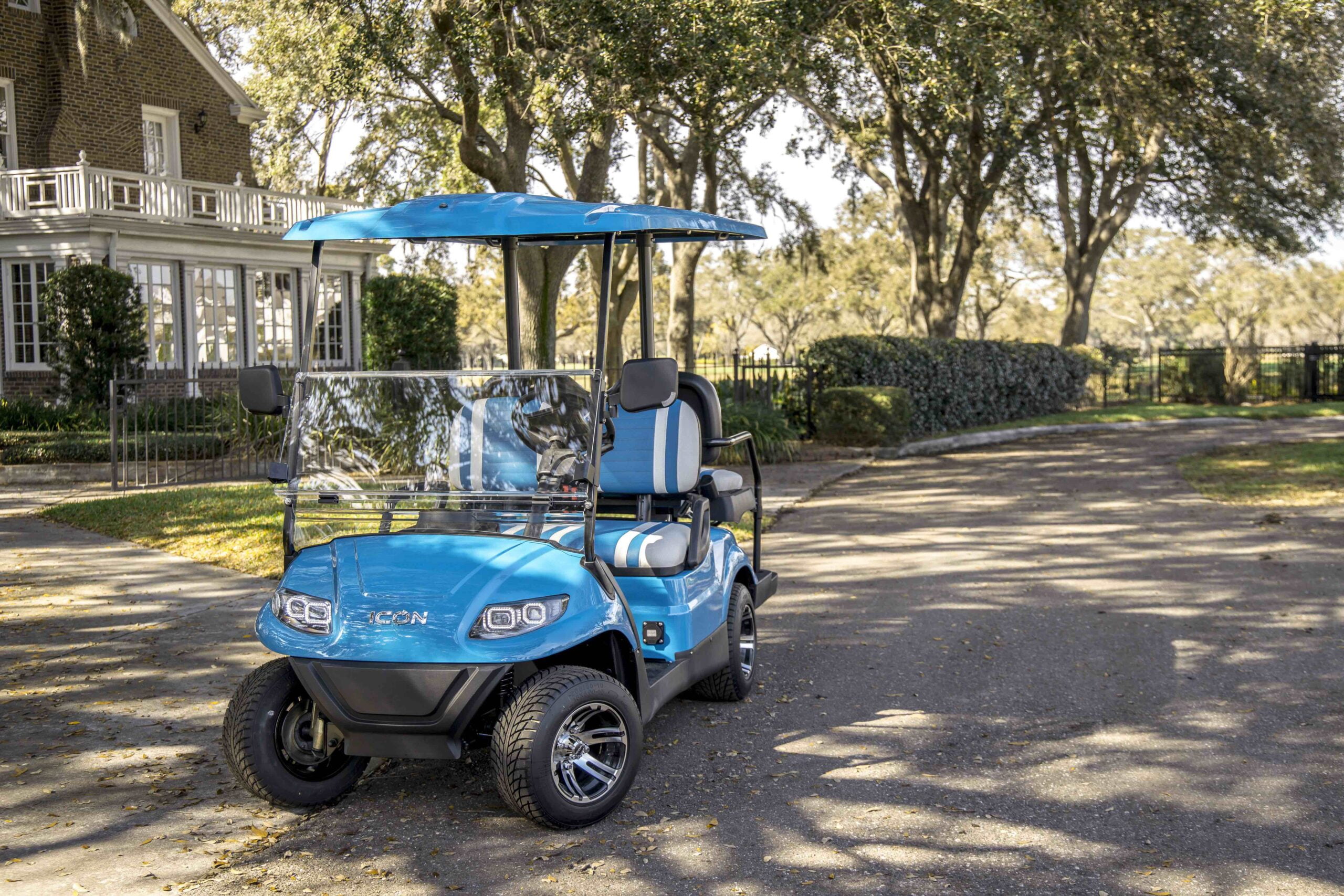Golf Cart Photo Gallery - Gas-Powered & Electric Golf Carts Now Available