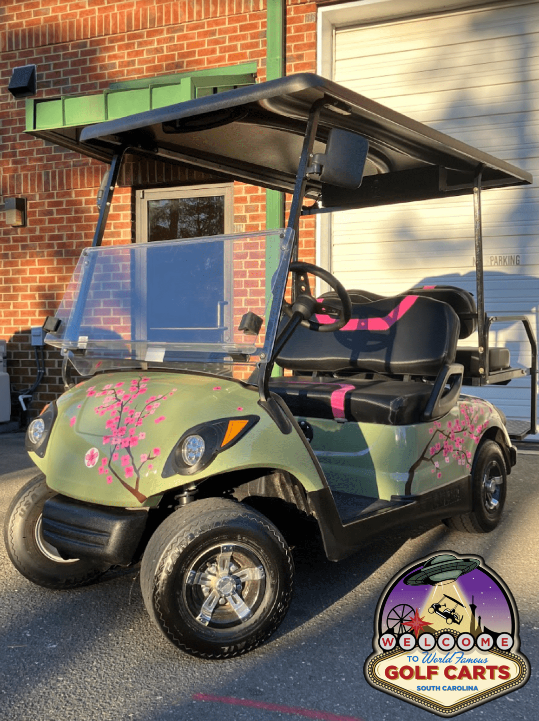 Golf Cart Photo Gallery - Gas-Powered & Electric Golf Carts Now Available